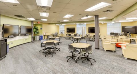 Forest Lab | Collaborative Labs